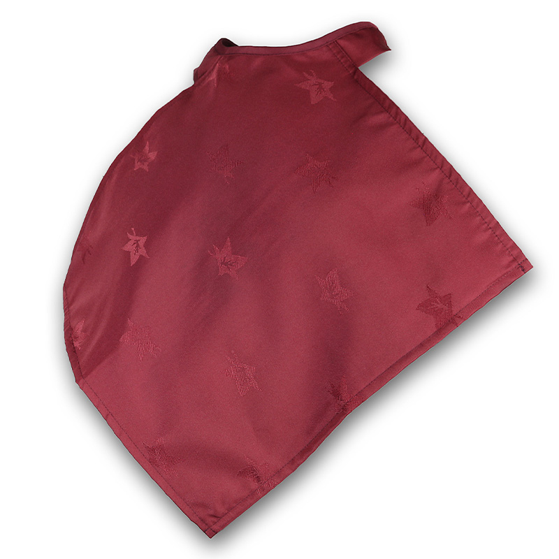 Napkin Style Clothing Protector - MAROON. Healthcare